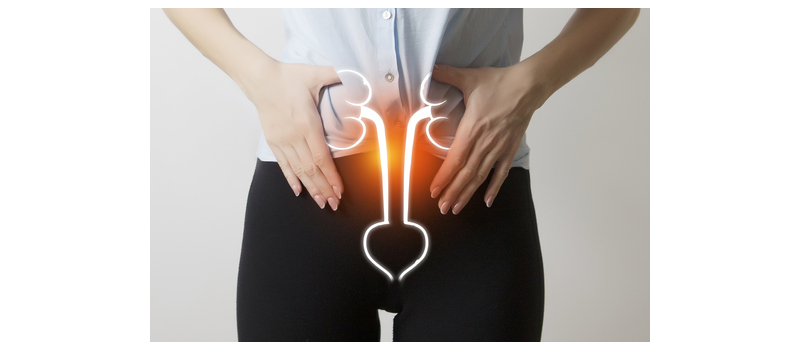 De vrouwelijke urethra: bouw, werking en typische klachten